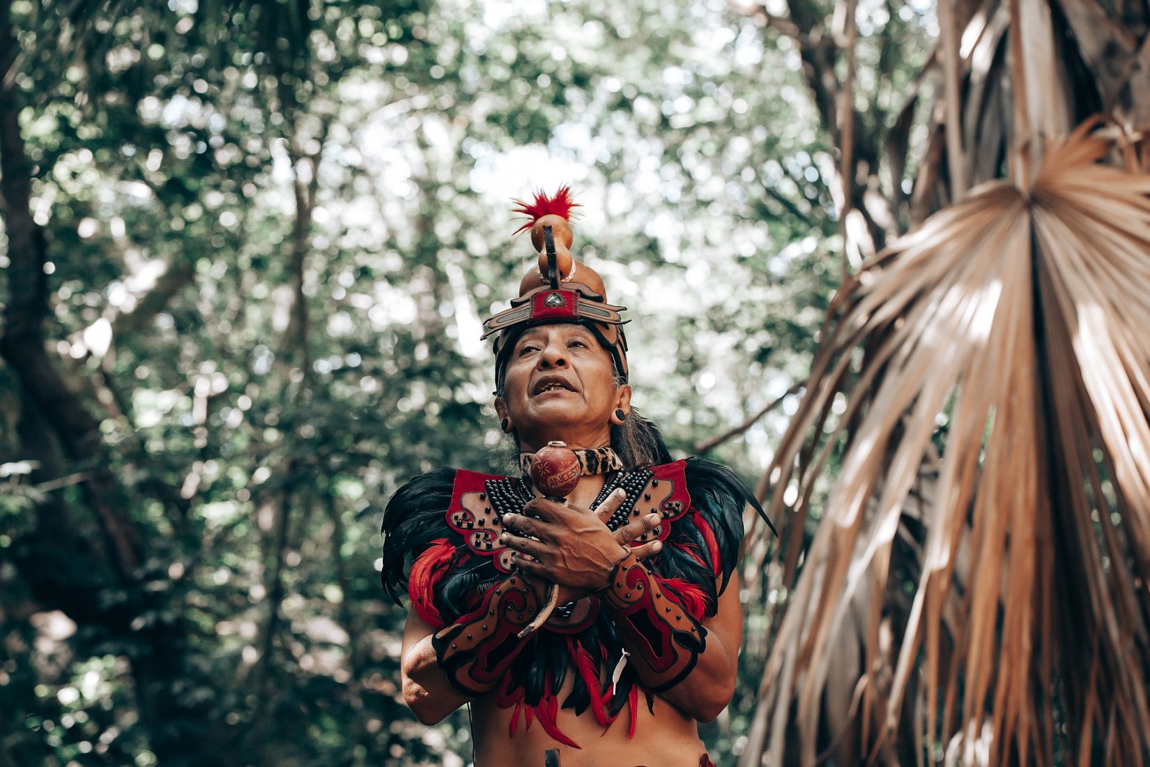 Mayan Wedding Ceremony : Discover A Journey Through Time